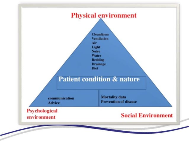 Florence nightingale’s environment theory | PPTX | Healthcare Industry | Industries