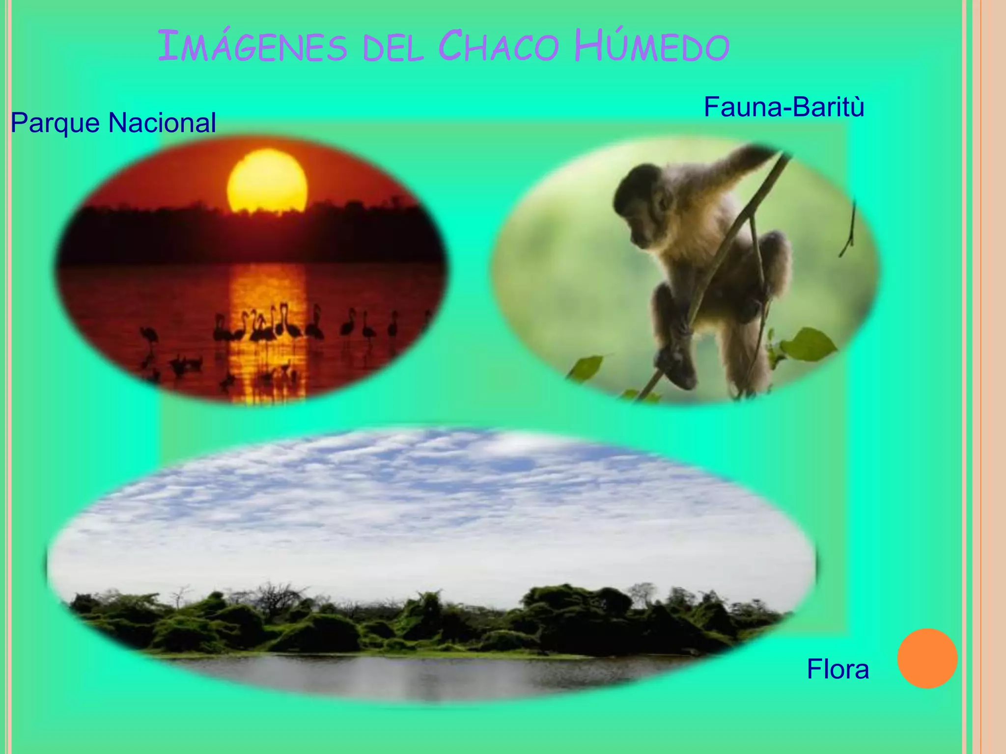 Florencia cano malena retes valentina diorio valentina saud | PPTX