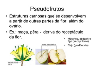 Estrutura da flor | PPT
