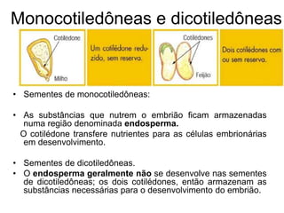Estrutura da flor | PPT