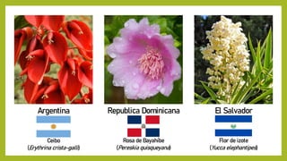 Flores Nacionales de América Latina - Botánica | PDF