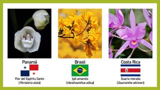 Flores Nacionales de América Latina - Botánica | PDF