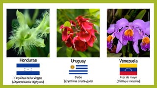 Flores Nacionales de América Latina - Botánica | PDF