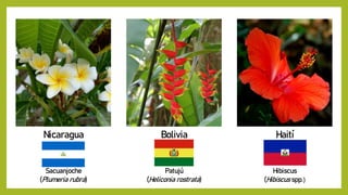 Flores Nacionales de América Latina - Botánica | PDF