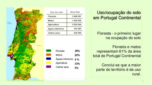 Floresta em Portugal Continental