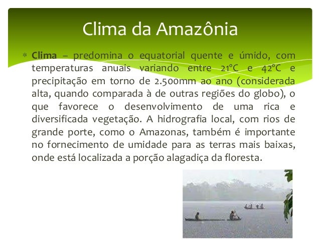 Floresta amazônica