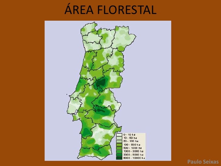 Floresta Portuguesa