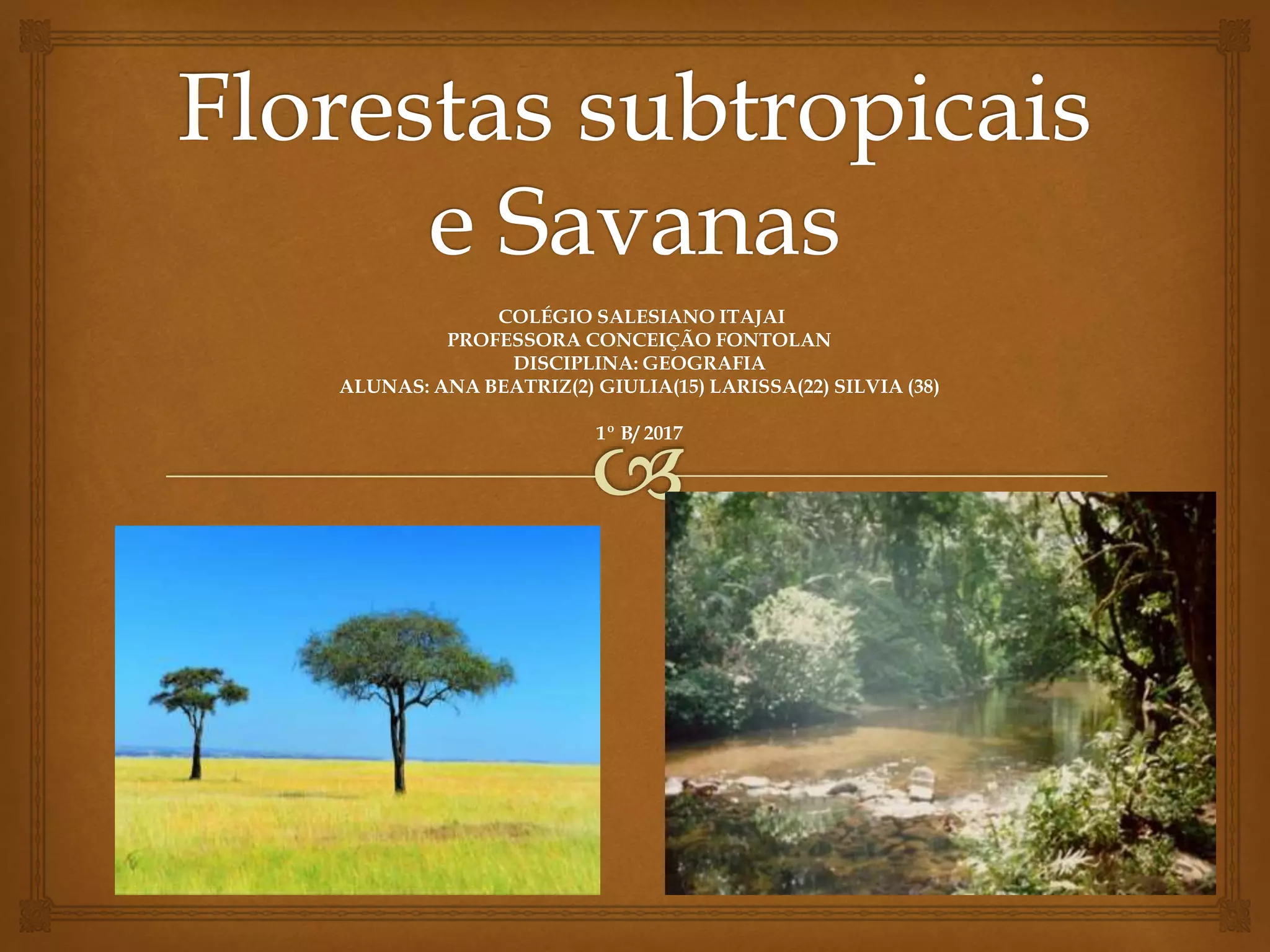 SAVANAS E FLORESTAS SUBTROPICAIS | PPTX
