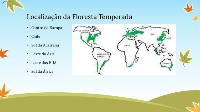 FLORESTAS TEMPERADAS E VEGETAÇÃO MEDITERRÂNEA