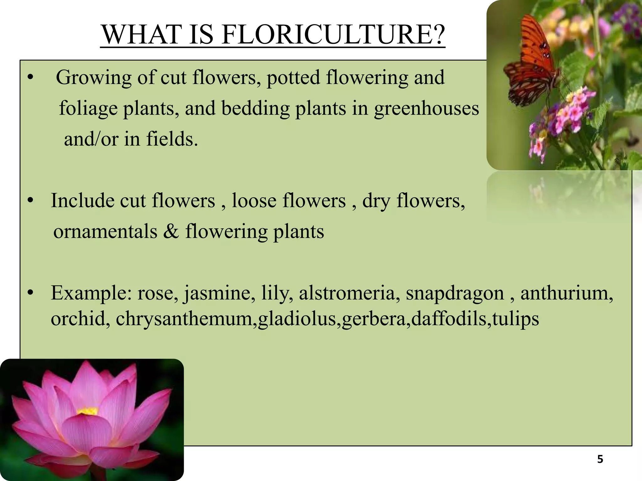 FLORICULTURE | PPTX