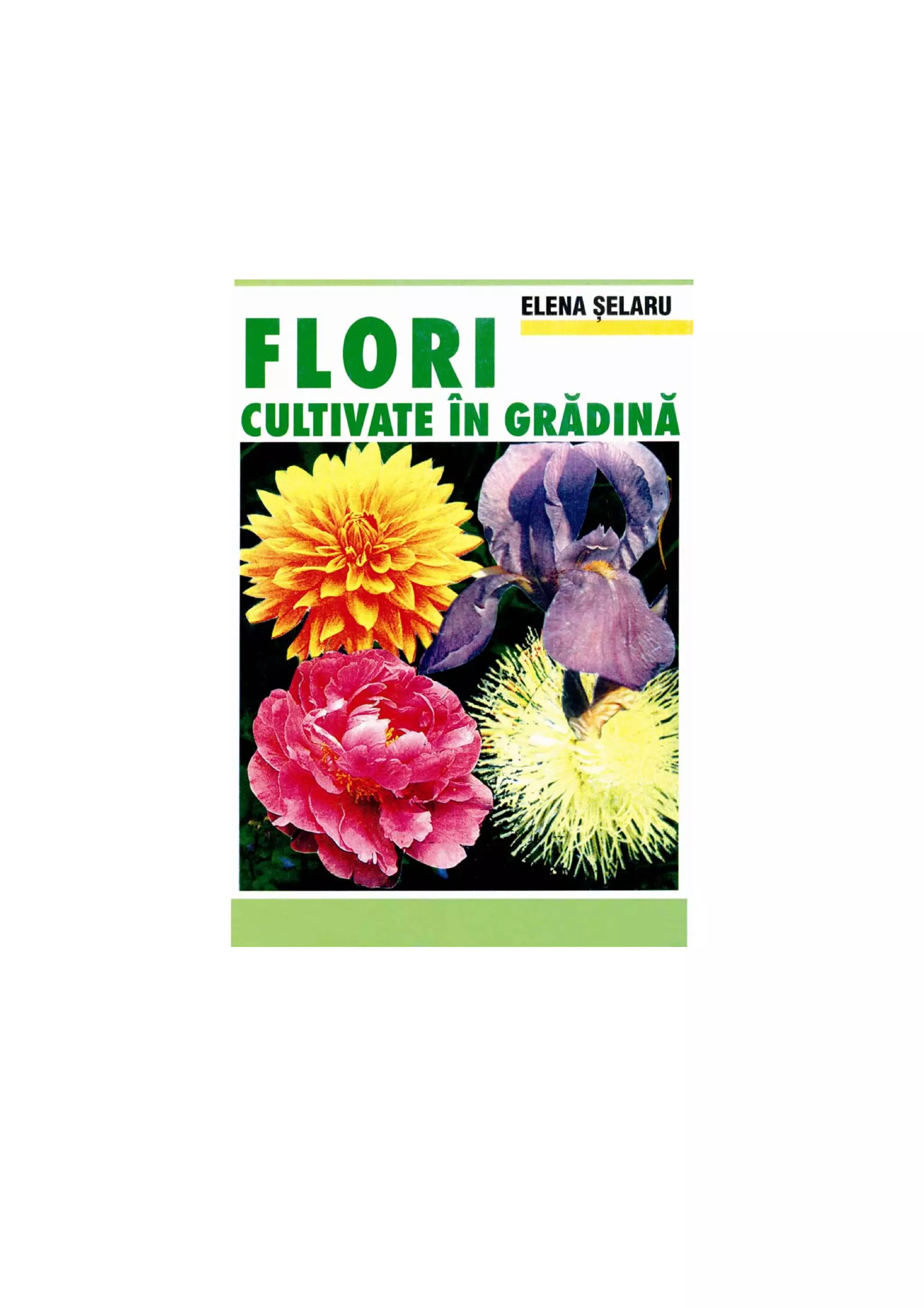 Flori cultivate-in-gradina | PDF