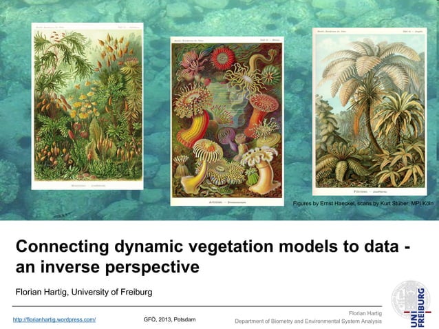 GFÖ 2013 Talk: Connecting dynamic vegetation models to data - an ...