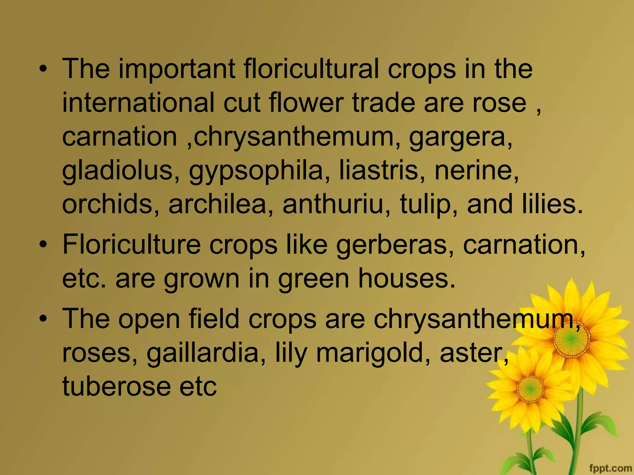Floriculture | PPTX