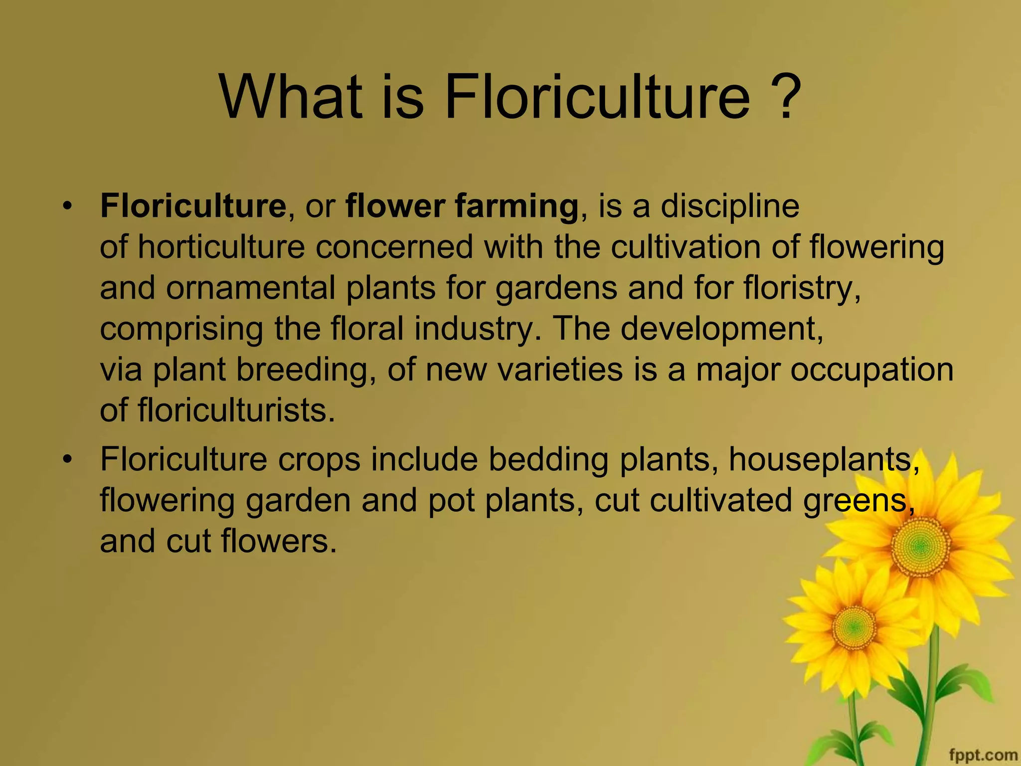 Floriculture | PPTX