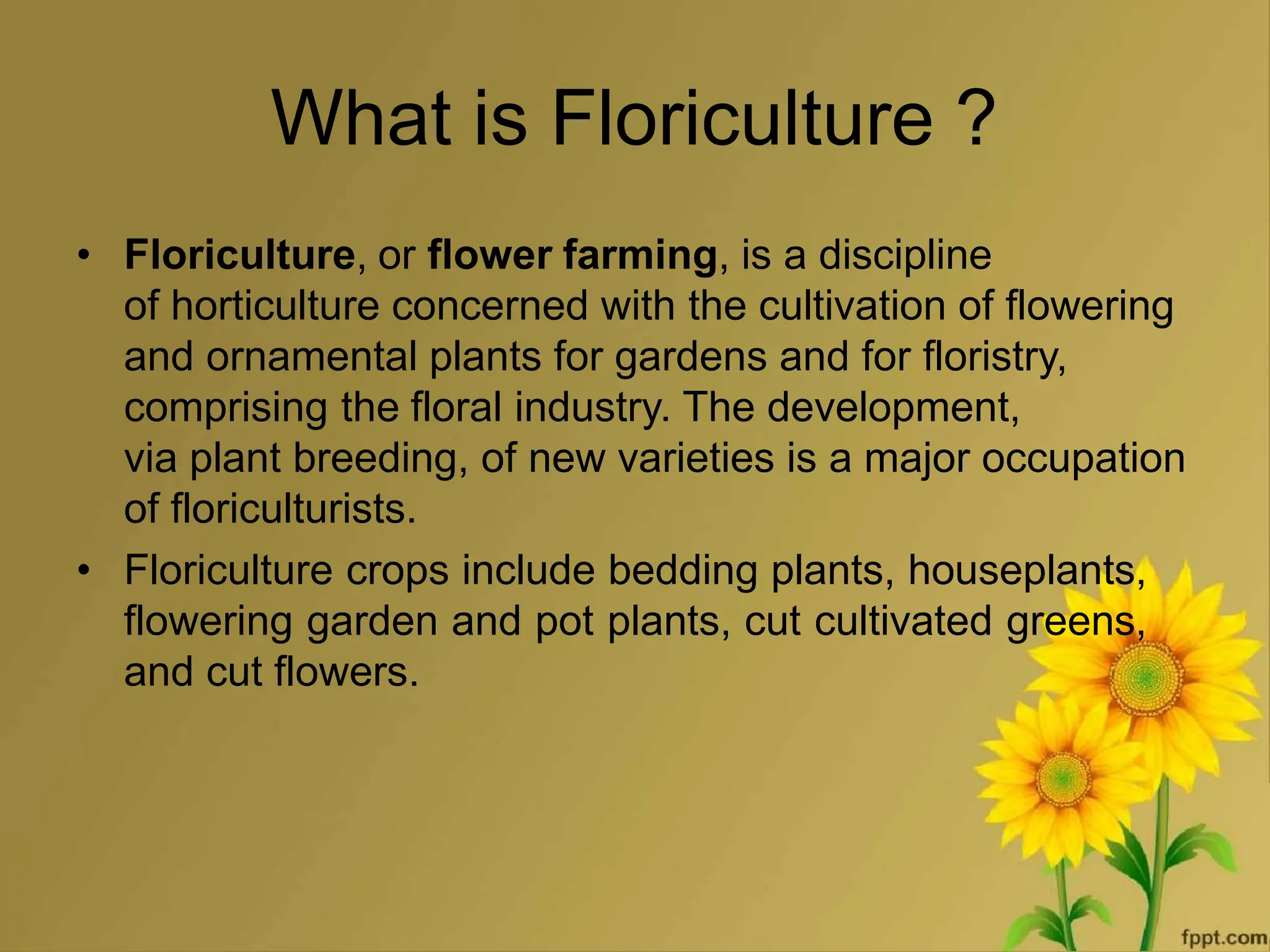 floriculture-140829123140-phpapp02 (1) (1).pptx