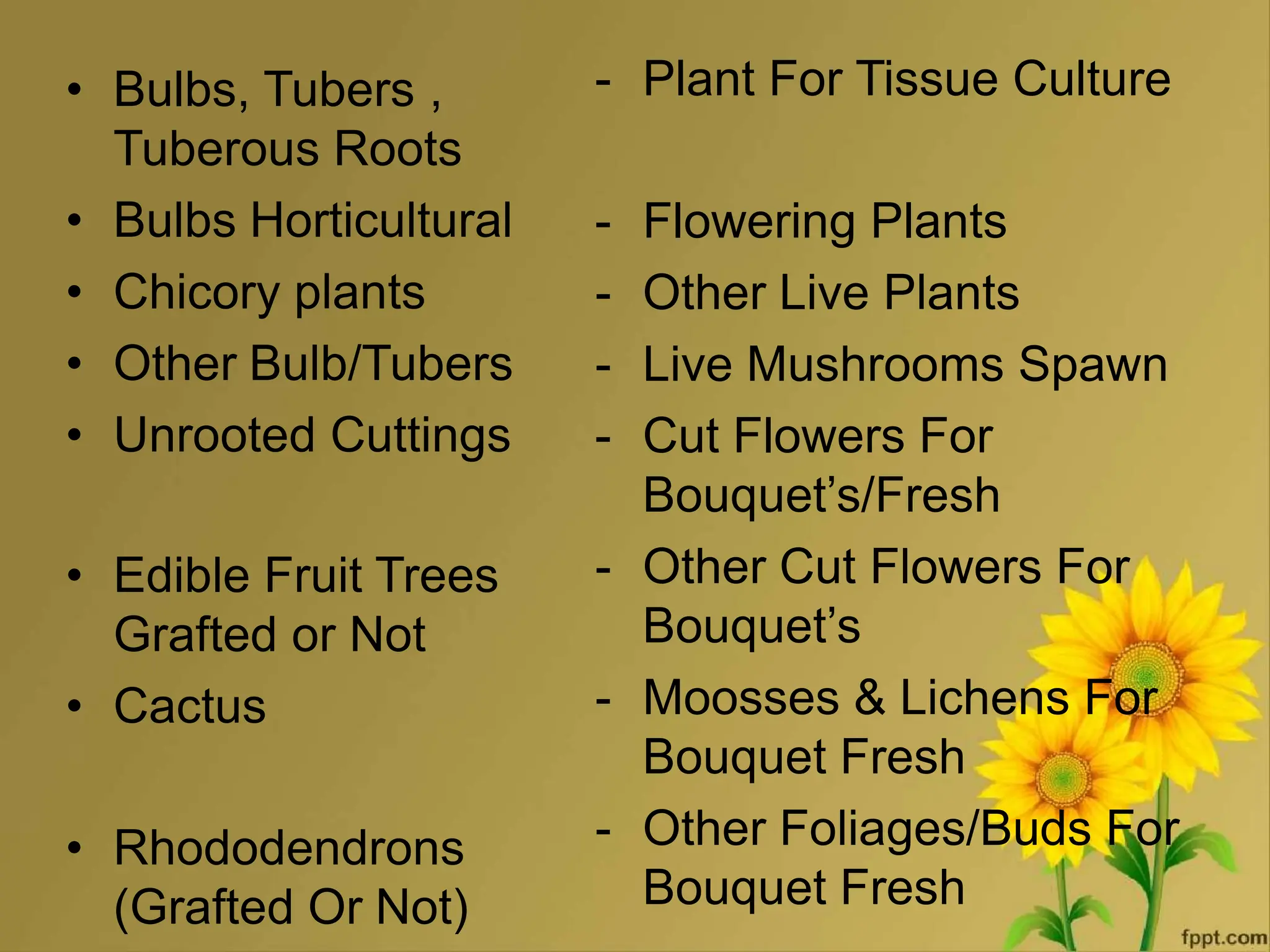 floriculture-140829123140-phpapp02 (1) (1).pptx