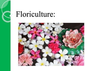 Floriculture | PPTX