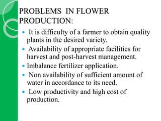 Floriculture | PPTX