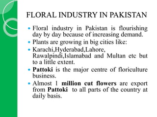 Floriculture | PPTX