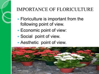 Floriculture | PPTX
