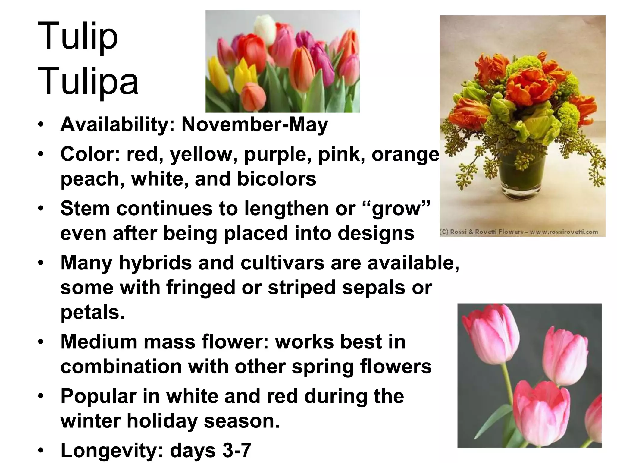 Floriculture unit & flowers from bulbs | PPTX | Gardening | Home & Garden