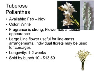 Floriculture unit & flowers from bulbs | PPTX | Gardening | Home & Garden