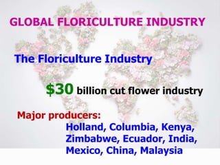 Floriculture - its status and prospects in Manipur, India | PPTX