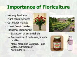 Floriculture - its status and prospects in Manipur, India | PPT