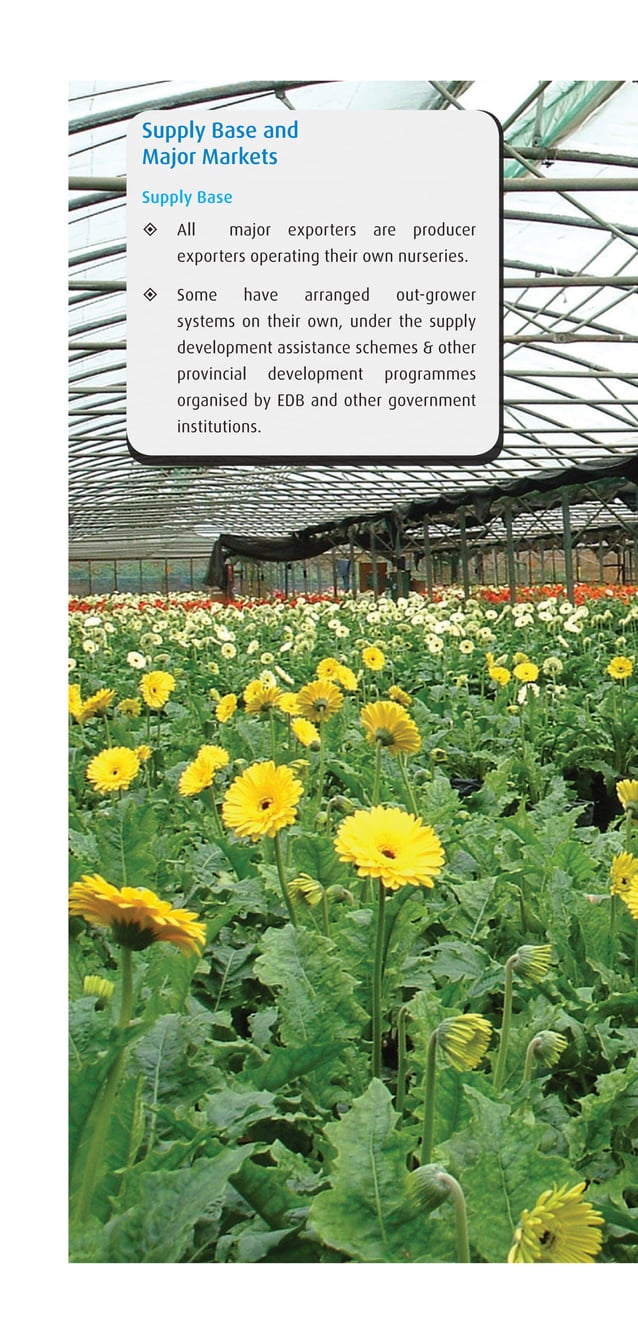Floriculture Sector in Sri Lanka | PDF | Agriculture | Industries