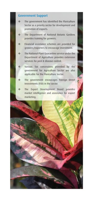 Floriculture Sector in Sri Lanka | PDF