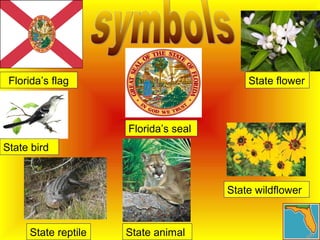 Florida | PPT