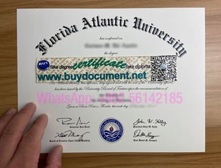 Buy Florida Atlantic University diploma. FAU degree | PPT