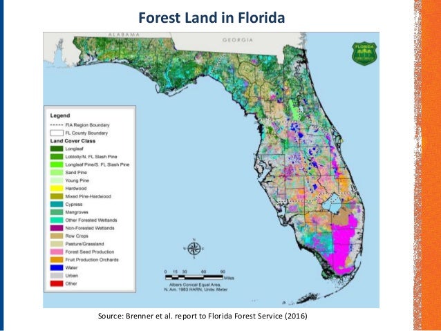 Florida Industry Map