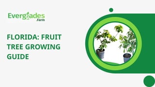 Florida: Fruit Tree Growing Complete Guide | PPT