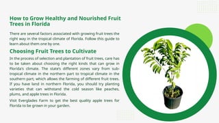 Florida: Fruit Tree Growing Complete Guide | PPT