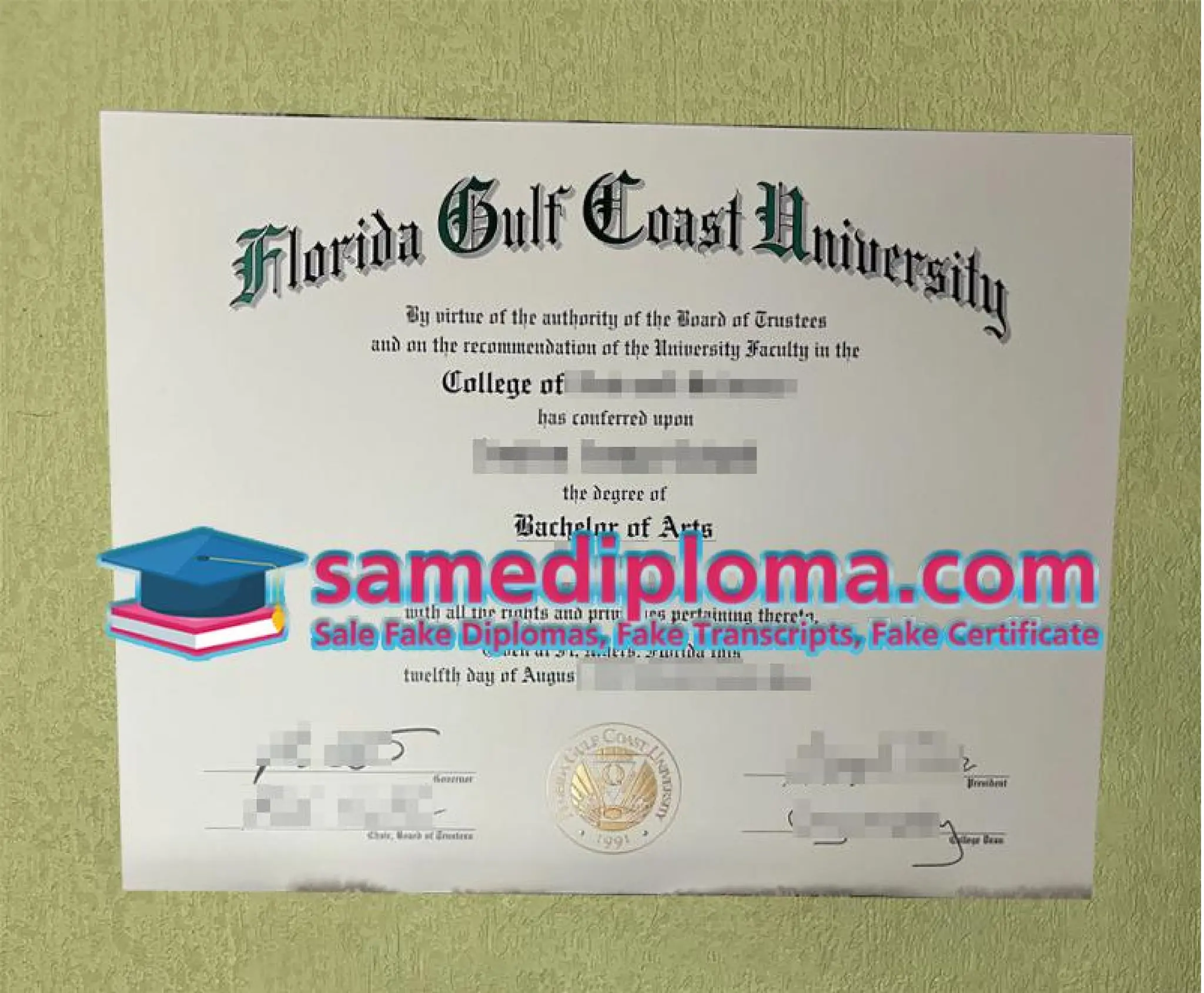 Florida Gulf Coast University (FGCU) Diploma | PDF