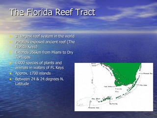 Florida Keys | PPT