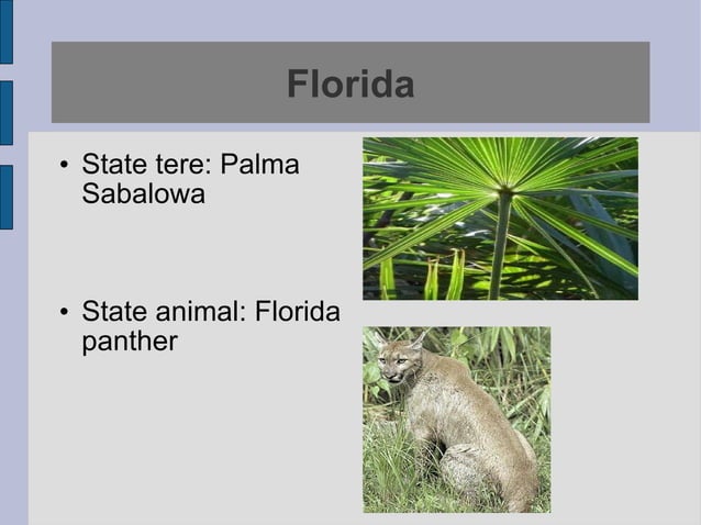 Florida by Magda Wojciechowska | PPT