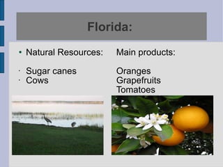 Florida by Magda Wojciechowska | PPT