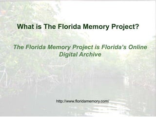Florida Memory Project and Usability | PPTX | Databases | Computer Software and Applications