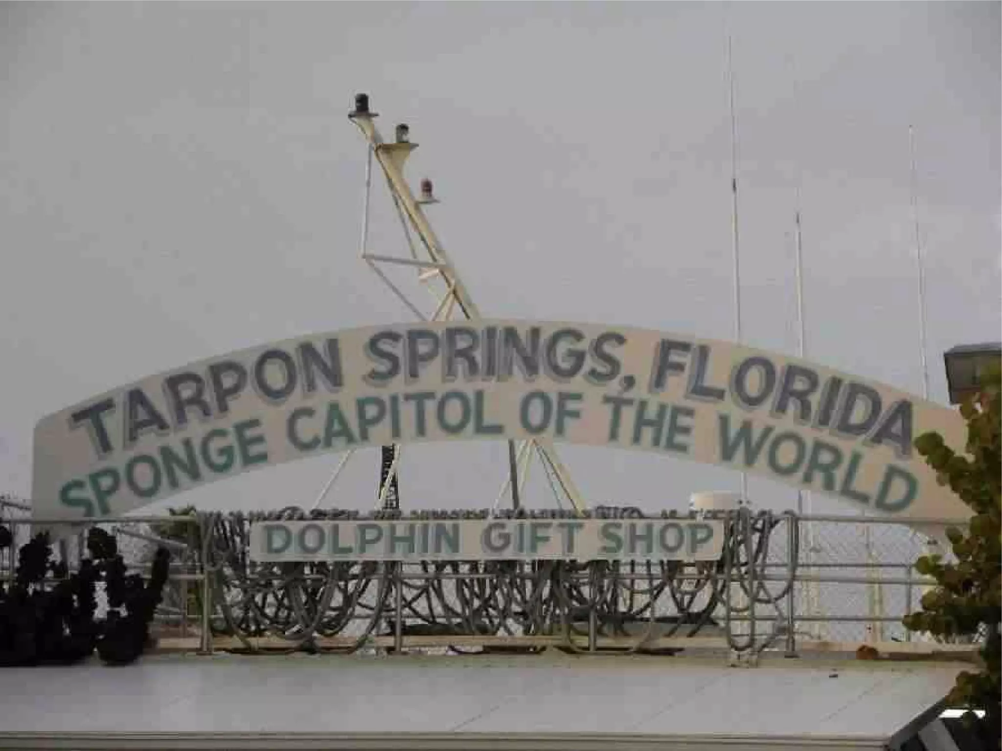 Florida Scenes! | PPS