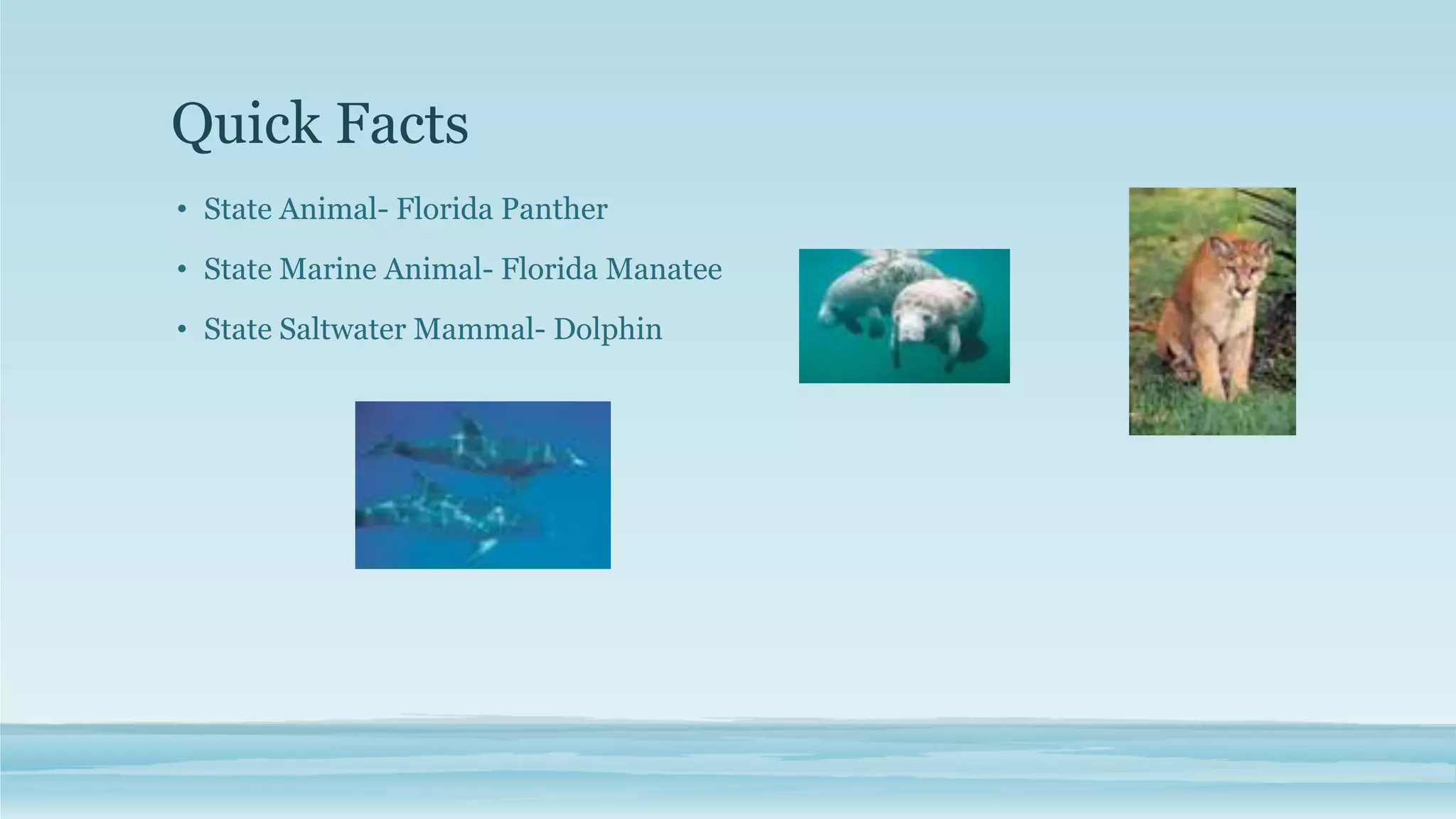 Florida Sealife Lesson Plan | PPTX