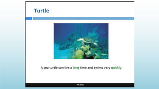 Florida Sealife Lesson Plan | PPT