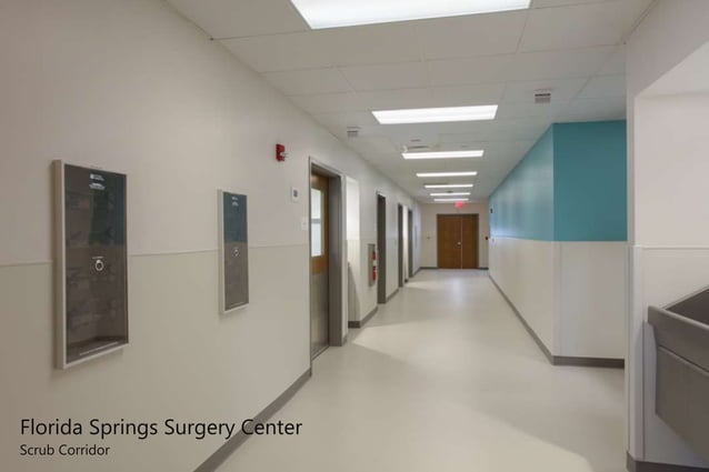 Florida Springs Surgery Center | PPT
