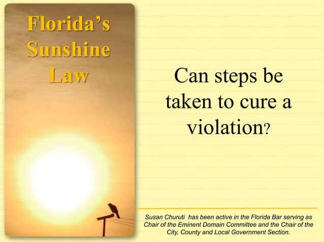 Florida's Sunshine and Public Records Laws | PPTX | Legal Services ...