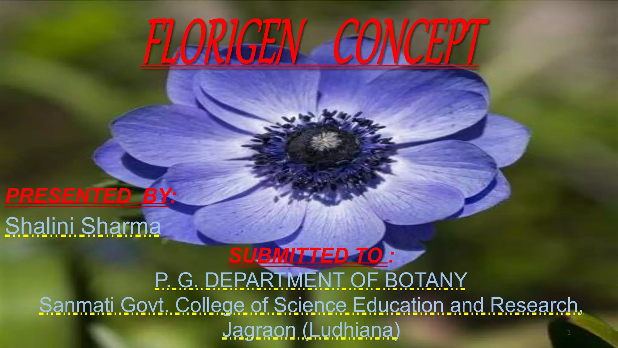 Florigen concept | PPTX
