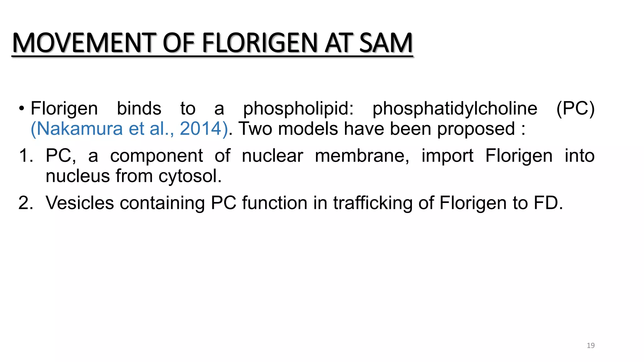 Florigen concept | PPTX