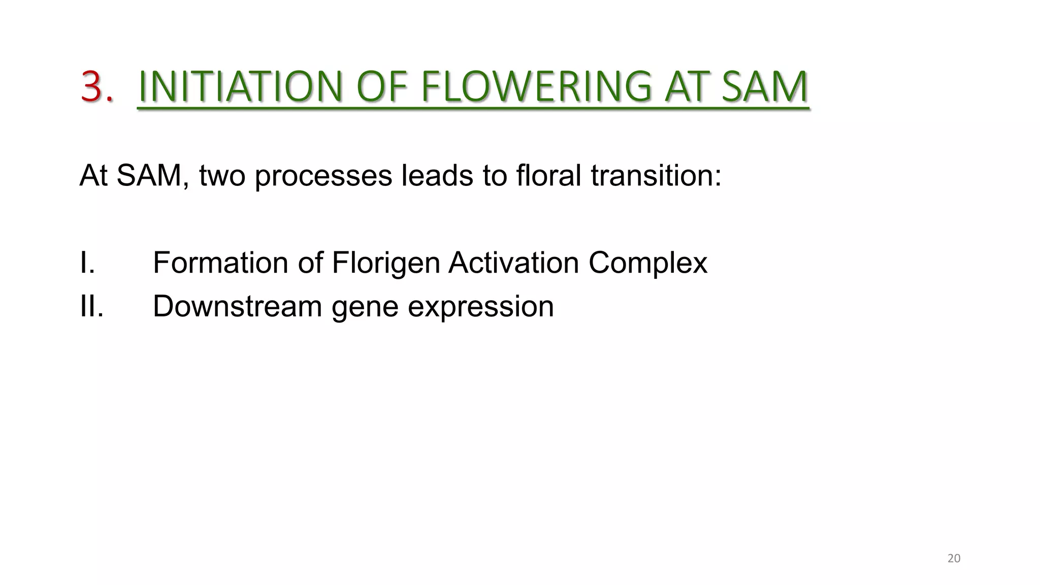 Florigen concept | PPTX