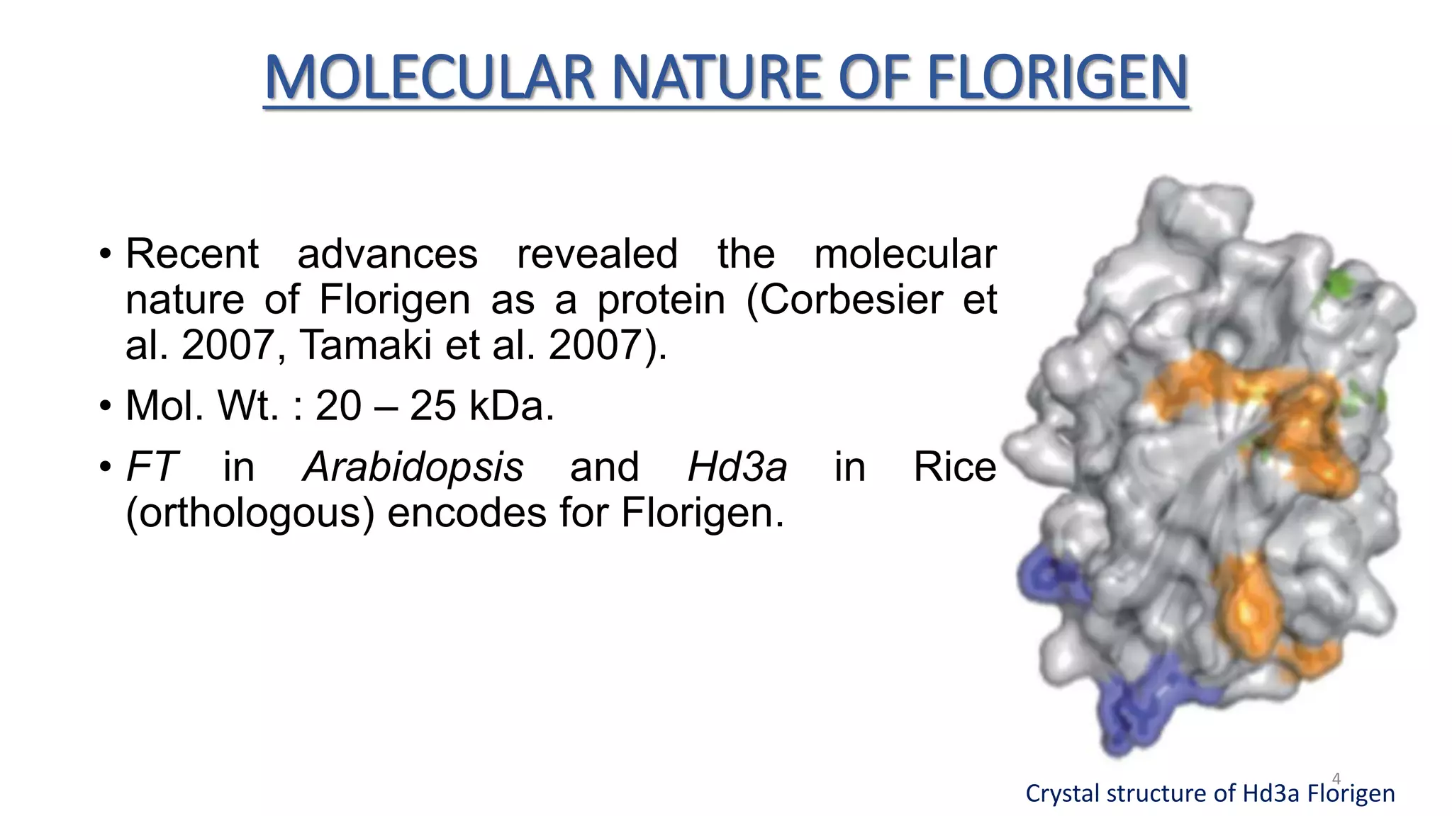 Florigen concept | PPTX
