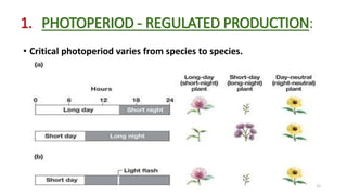 Florigen concept | PPTX